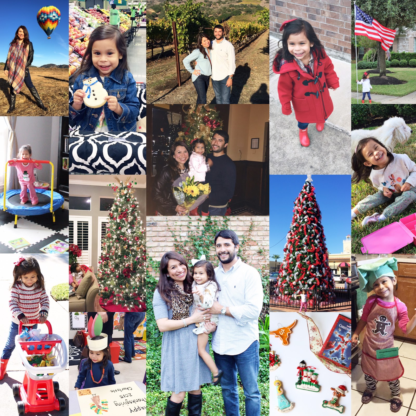 A Thankful November & Our Thanksgiving 2015 - Seven Graces