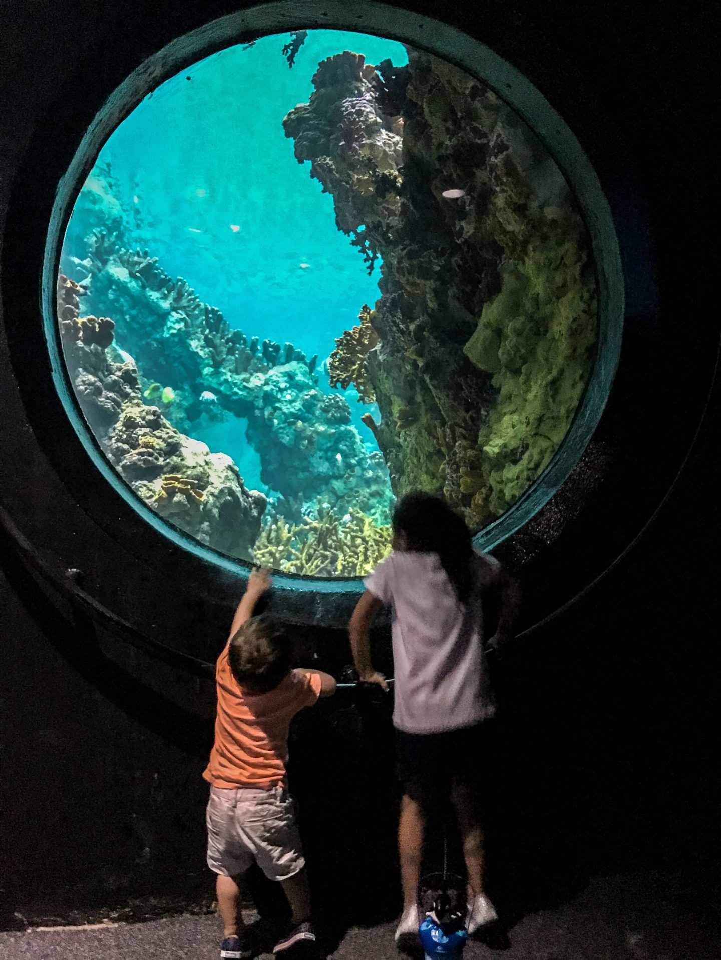 Why Summertime Memories Matter (& How to Create Them) - Seven Graces