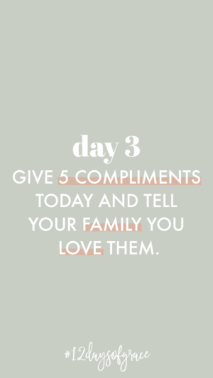 12 Days of Grace :: Day 3 - Seven Graces